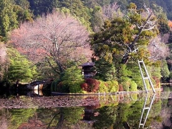 Nueve Jardines Más Bonitos Del Mundo 8
